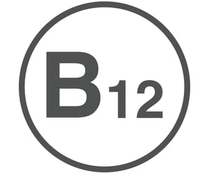 Vitamin B12 - 2 fl oz (Triple Activated) - Global Healing